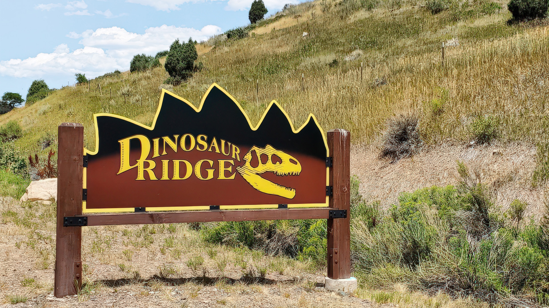 Foundation Expands Impact with New Programs, Partnerships